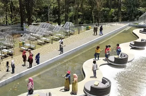 10 Destinasi Wisata Puncak Bogor Terbaru dan Viral!